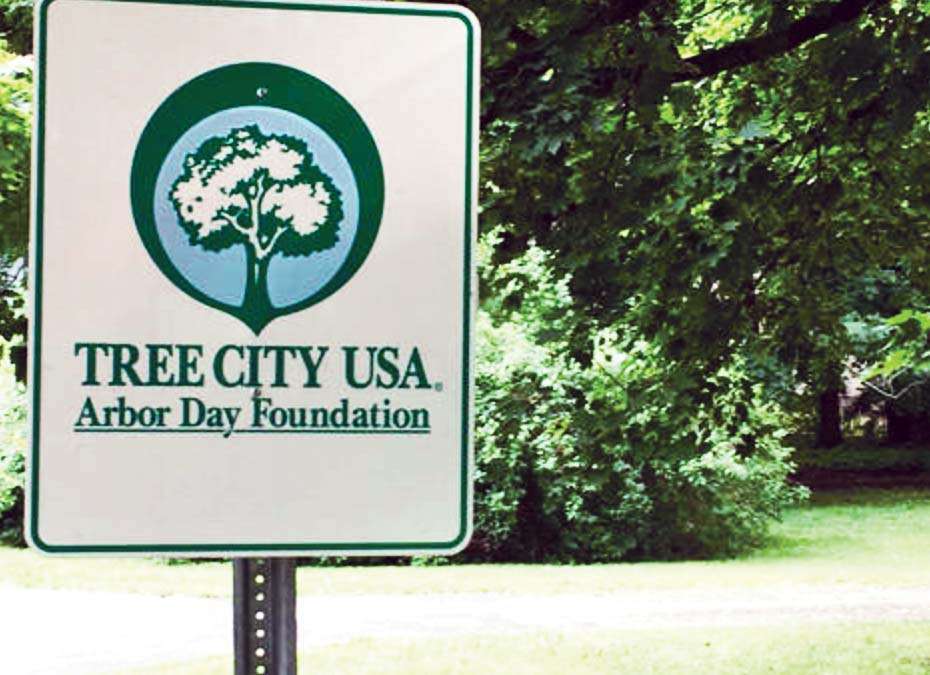 Arbor Day, Friday, April 26 Monumental Day to Contribute to the Future ...