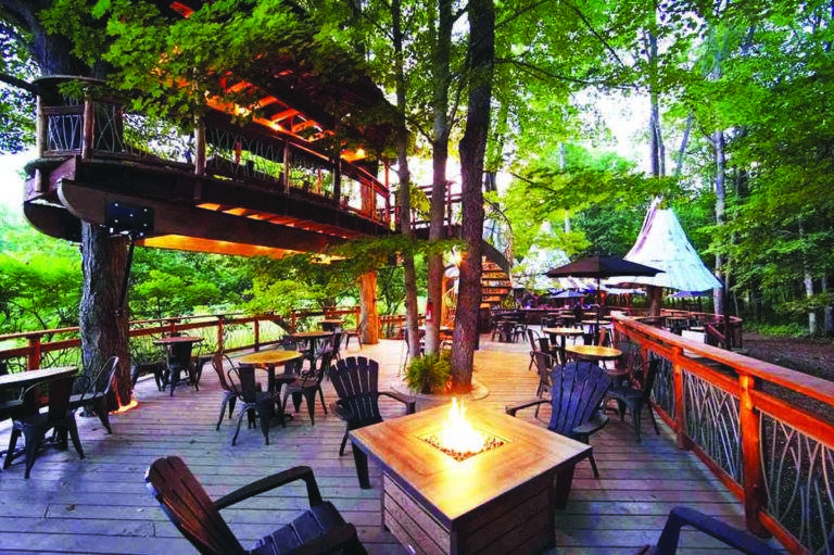 Blueberry Treehouse FarmModern Farm – Family Fun in West Falls, NY ...