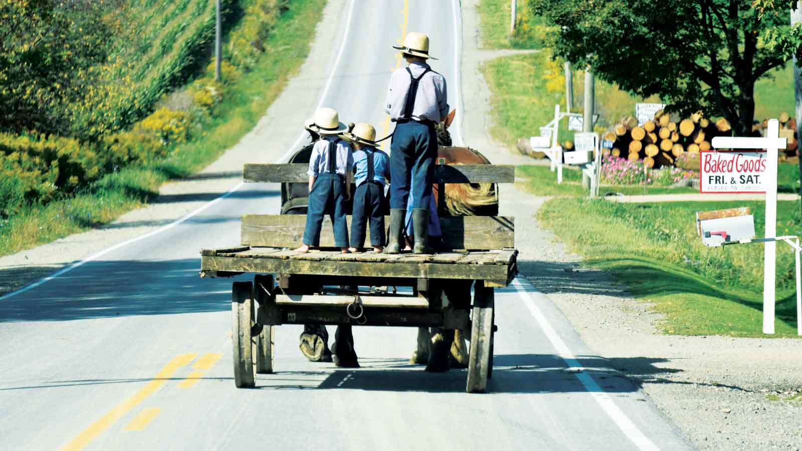 Local Treasures: Amish Trail The Amish in the Southern Tier of WNY ...