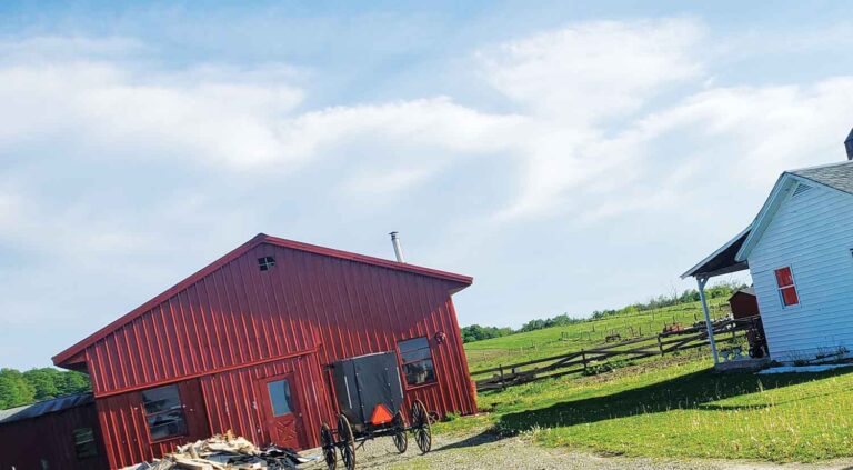 Local Treasures: Amish Trail The Amish in the Southern Tier of WNY ...